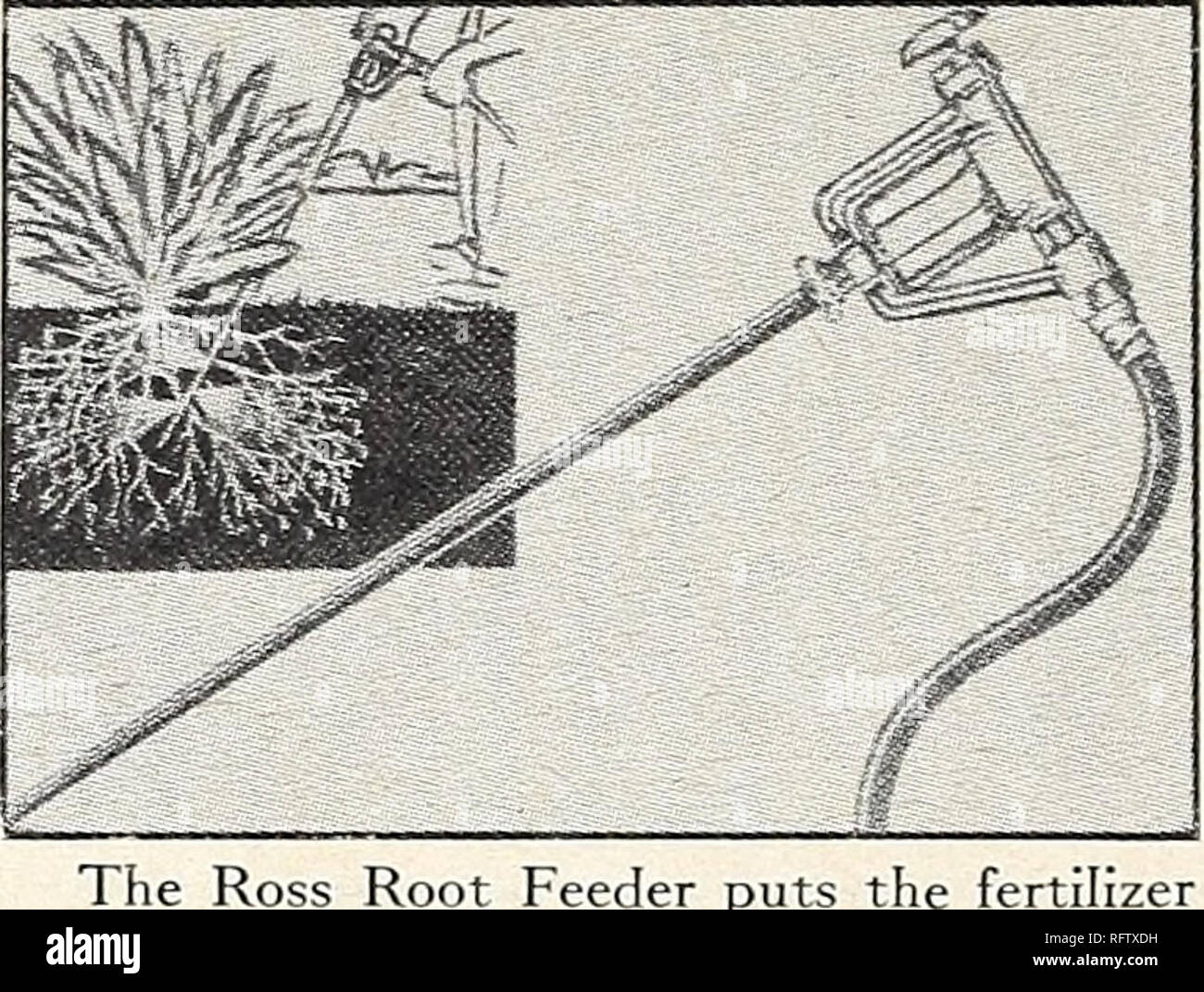 Root feeder hi-res stock photography and images - Alamy
