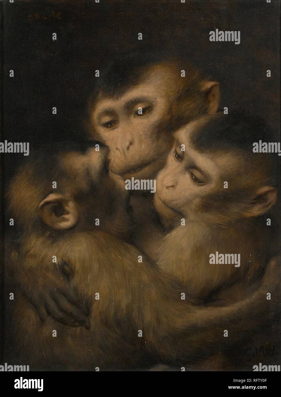 Gabriel von max monkey hi-res stock photography and images - Alamy