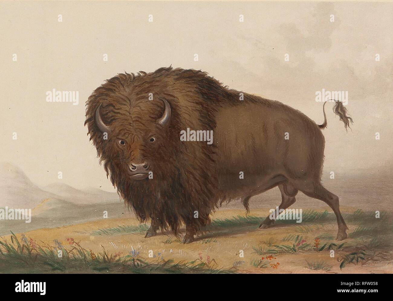 Frederick bird hi-res stock photography and images - Alamy
