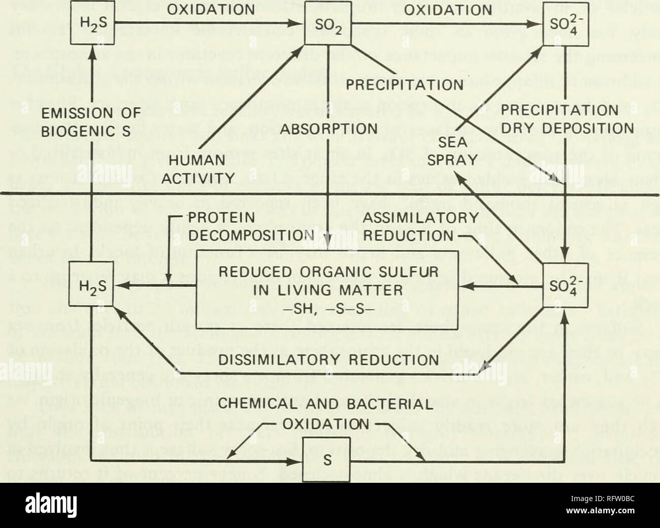 Sulfur Cycle High Resolution Stock Photography and Images - Alamy