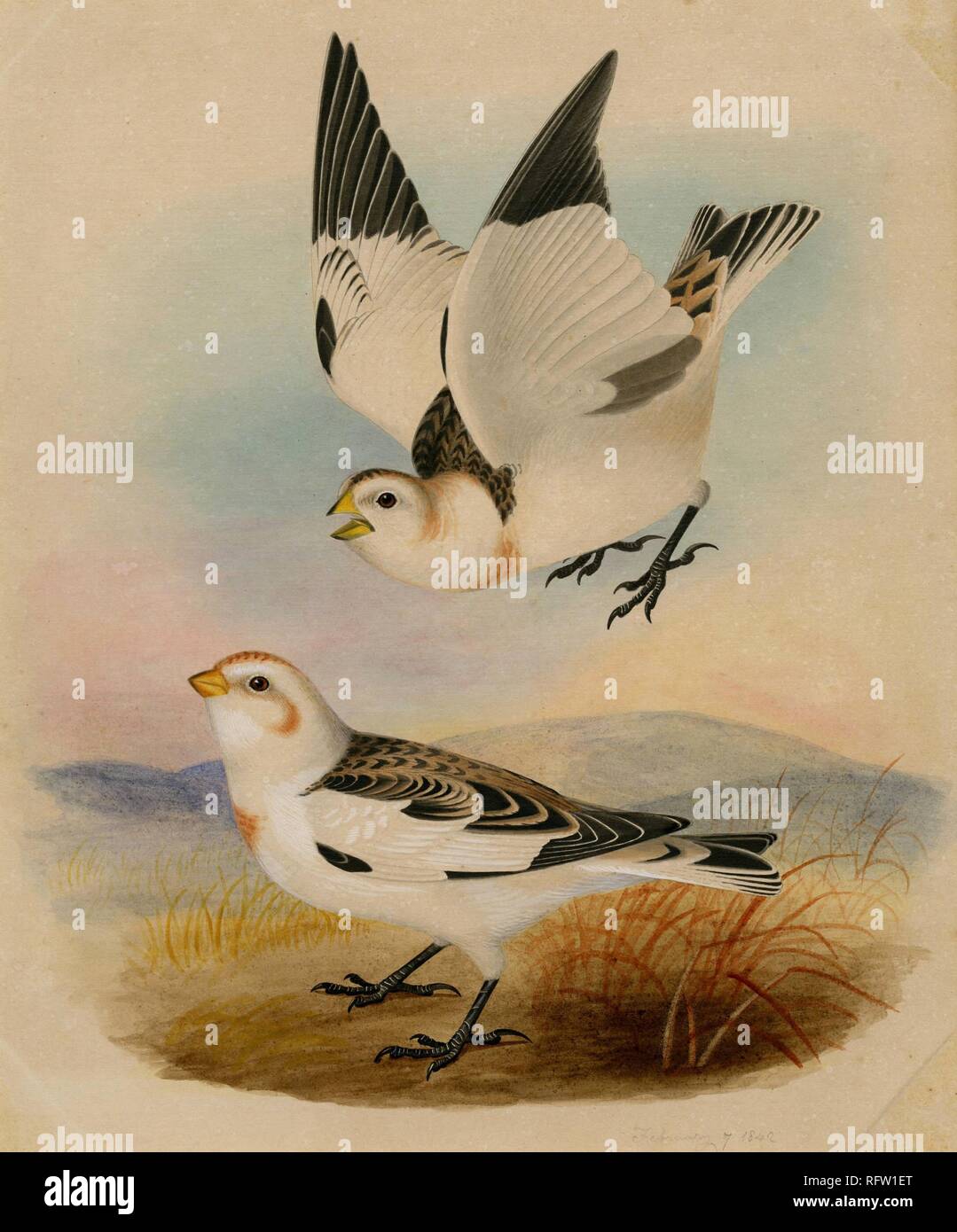 Sprague isaac hi-res stock photography and images - Alamy