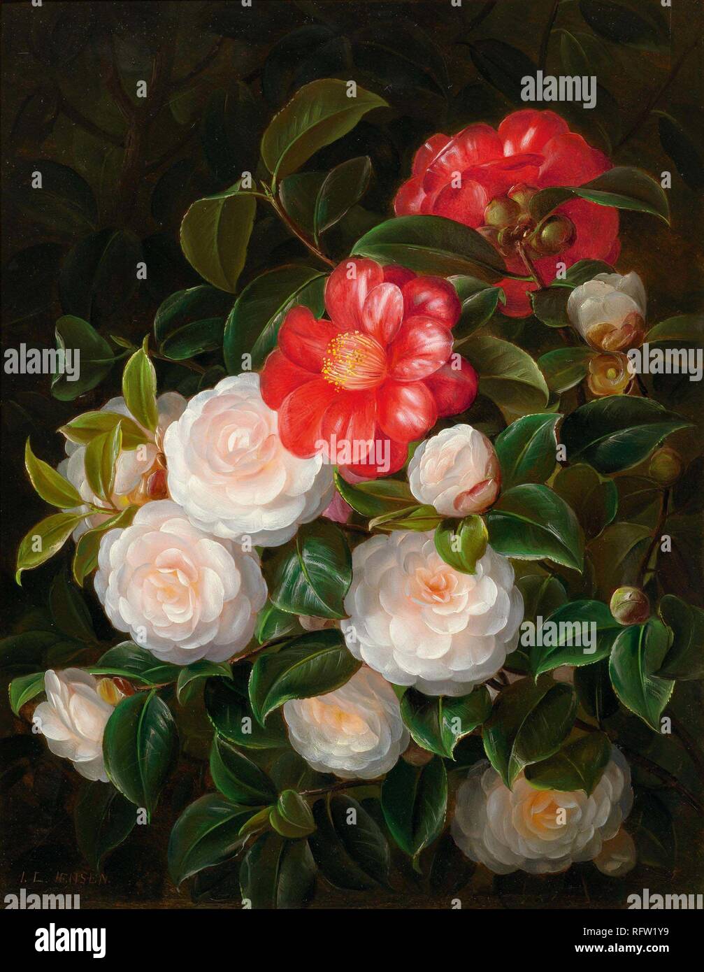 Johan Laurentz Jensen High Resolution Stock Photography and Images - Alamy