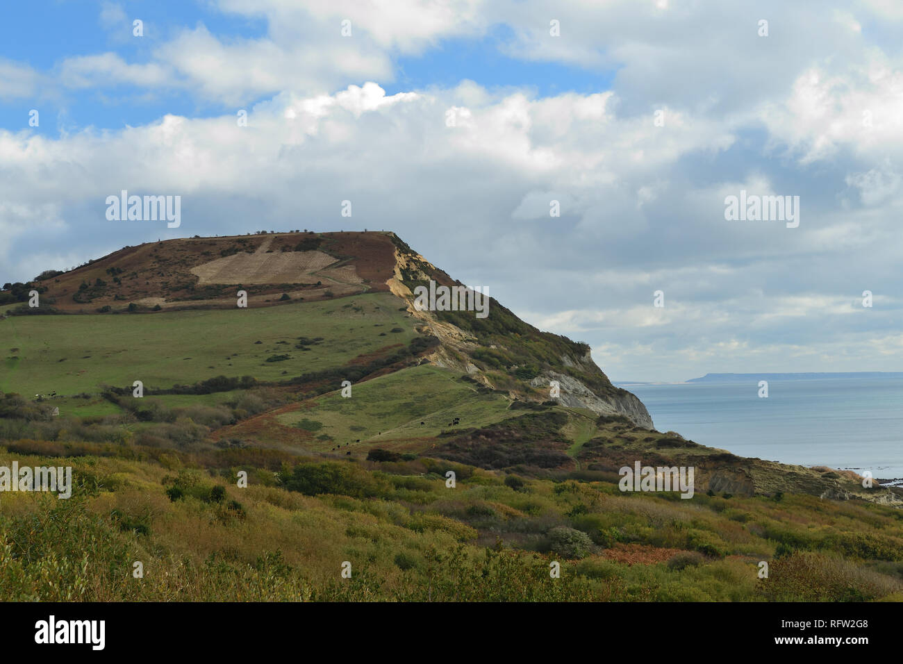 Scenic view of Golden cap in Dorset Stock Photo - Alamy