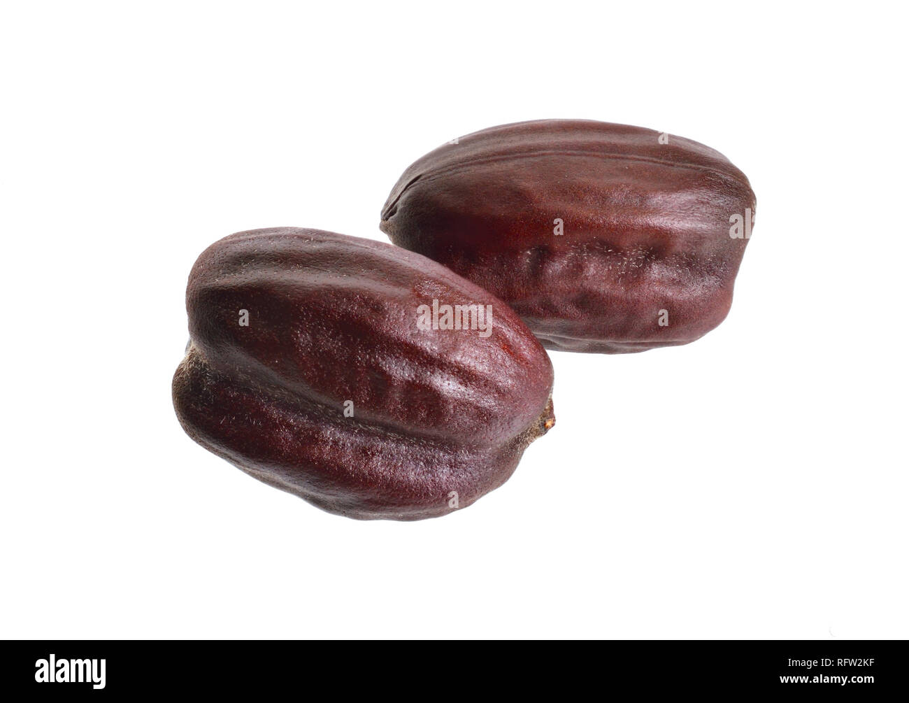 Pignut hi-res stock photography and images - Alamy