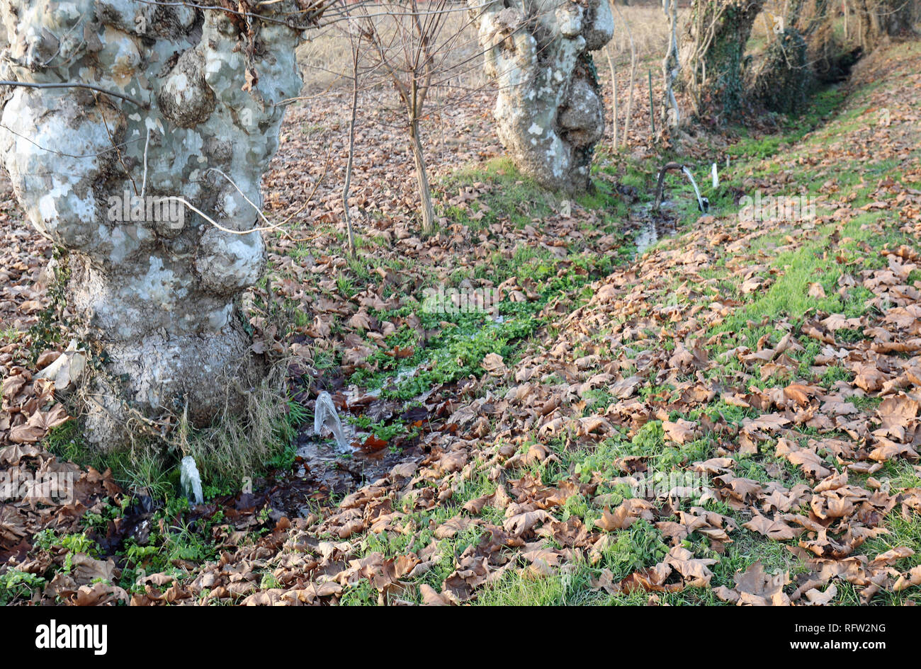 Flush to the ground hi-res stock photography and images - Alamy