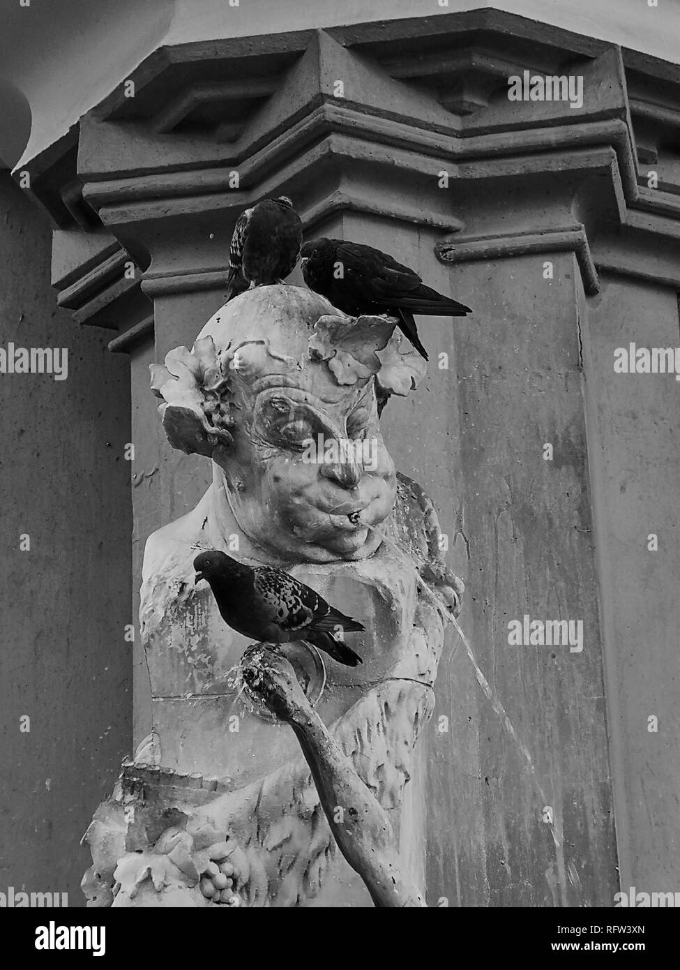 Water spitting sculpture with pidgeons Stock Photo - Alamy