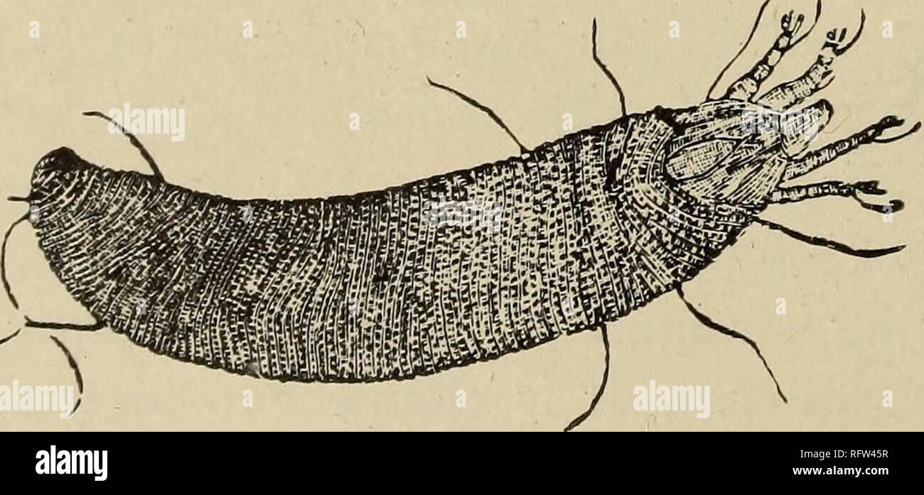 . The Canadian horticulturist. Fruit Growers' Association of Ontario ...