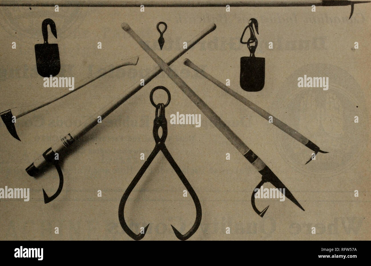 forestry tools canada