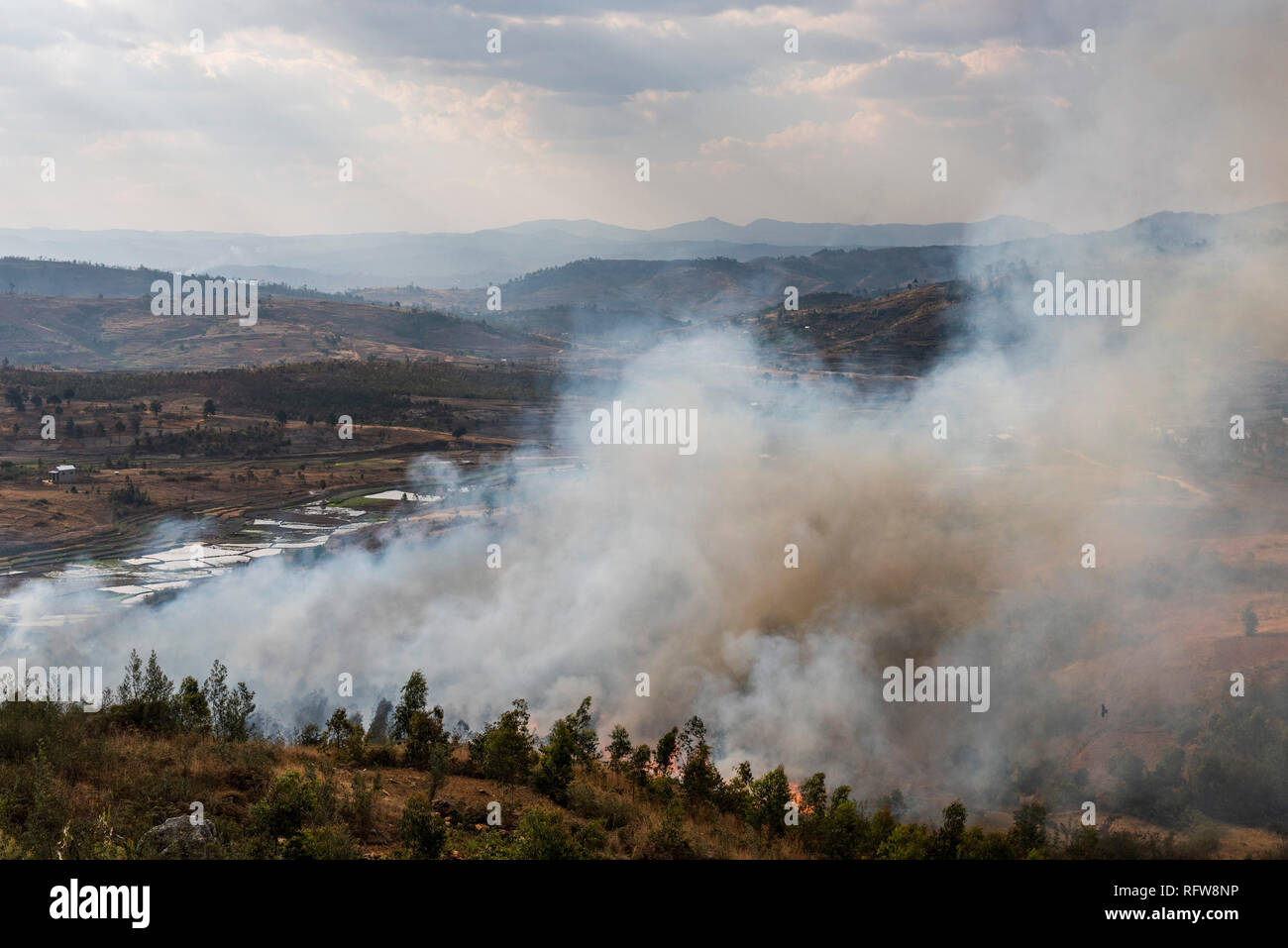 Slash and burn africa hi-res stock photography and images - Alamy