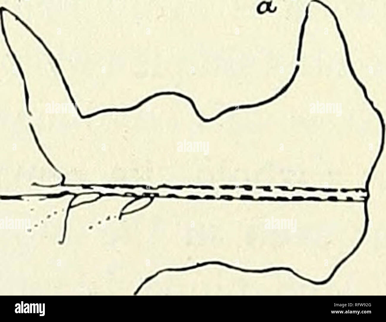 . The Canadian record of science. Natural history. 302 Canadian Record ...