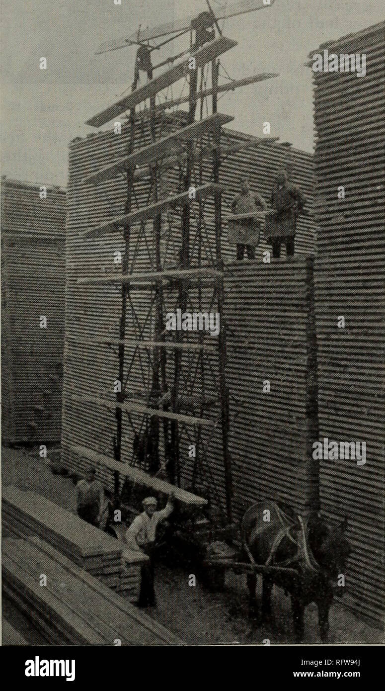 Timber stacker hi-res stock photography and images - Alamy