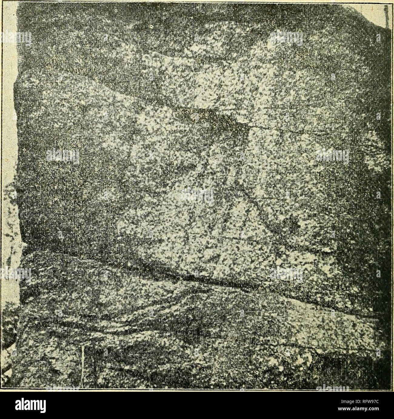 . The Canadian record of science. Natural history. 242 Canadian Record ...