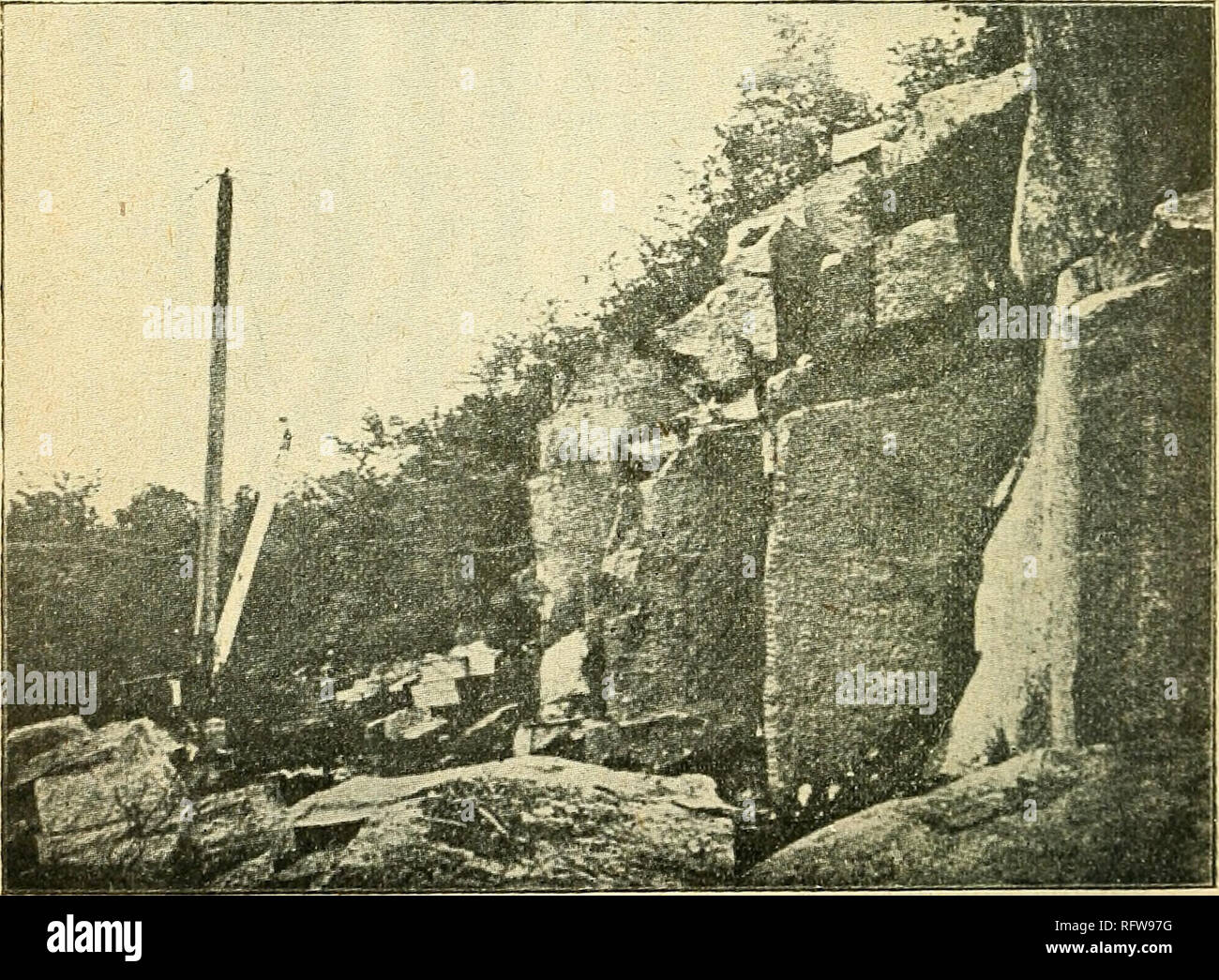 . The Canadian record of science. Natural history. 240 Canadian Record ...