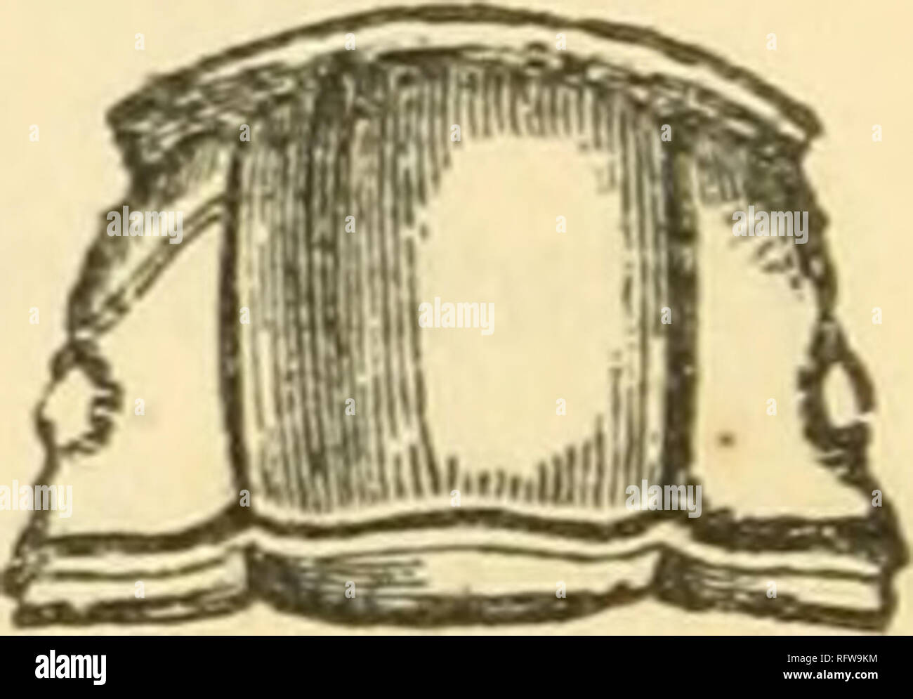 . The Canadian naturalist and geologist. Natural history -- Periodicals ...