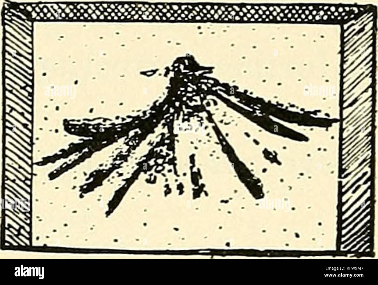 Catons island hi-res stock photography and images - Alamy