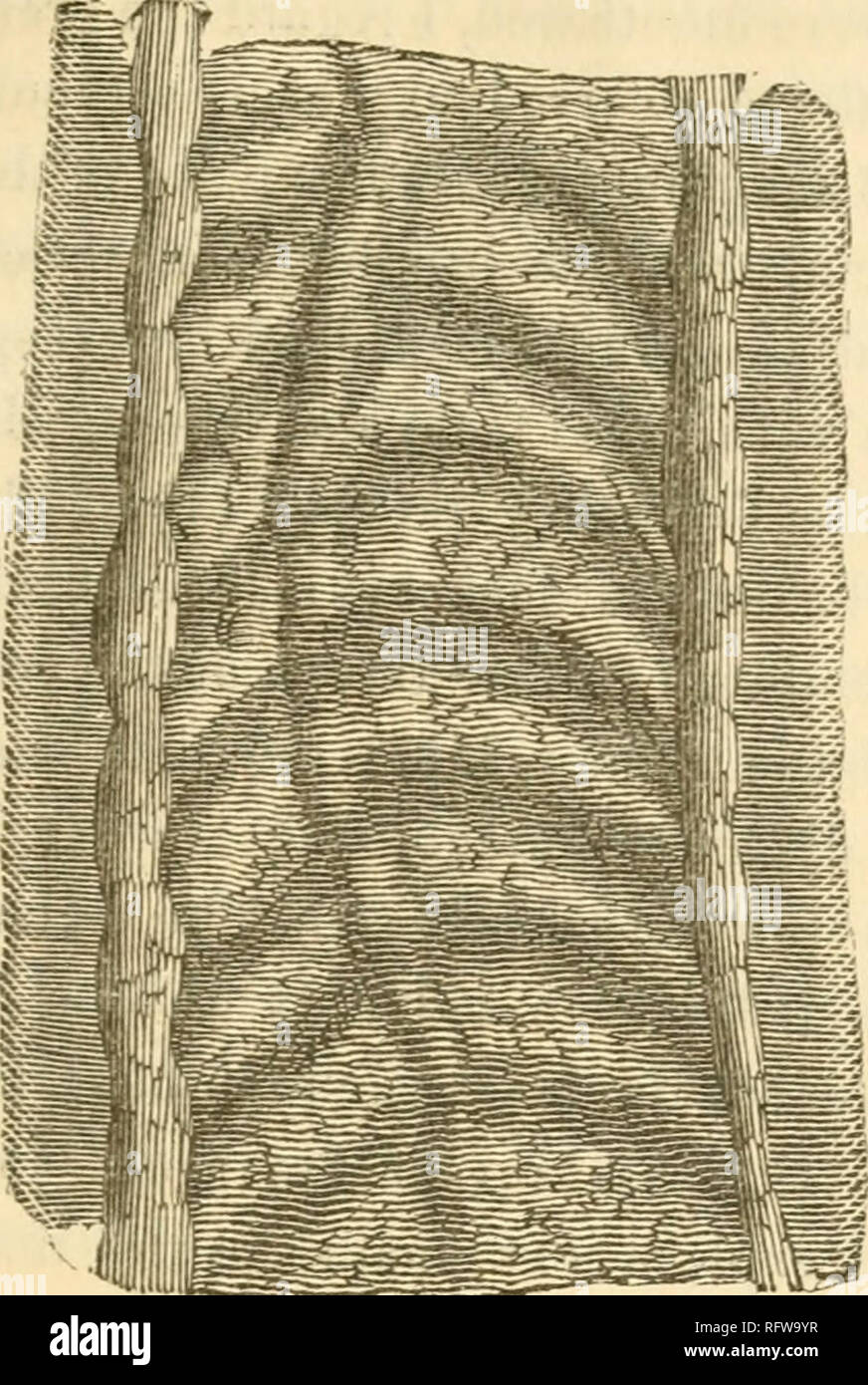 Bottom transverse lines hi-res stock photography and images - Alamy
