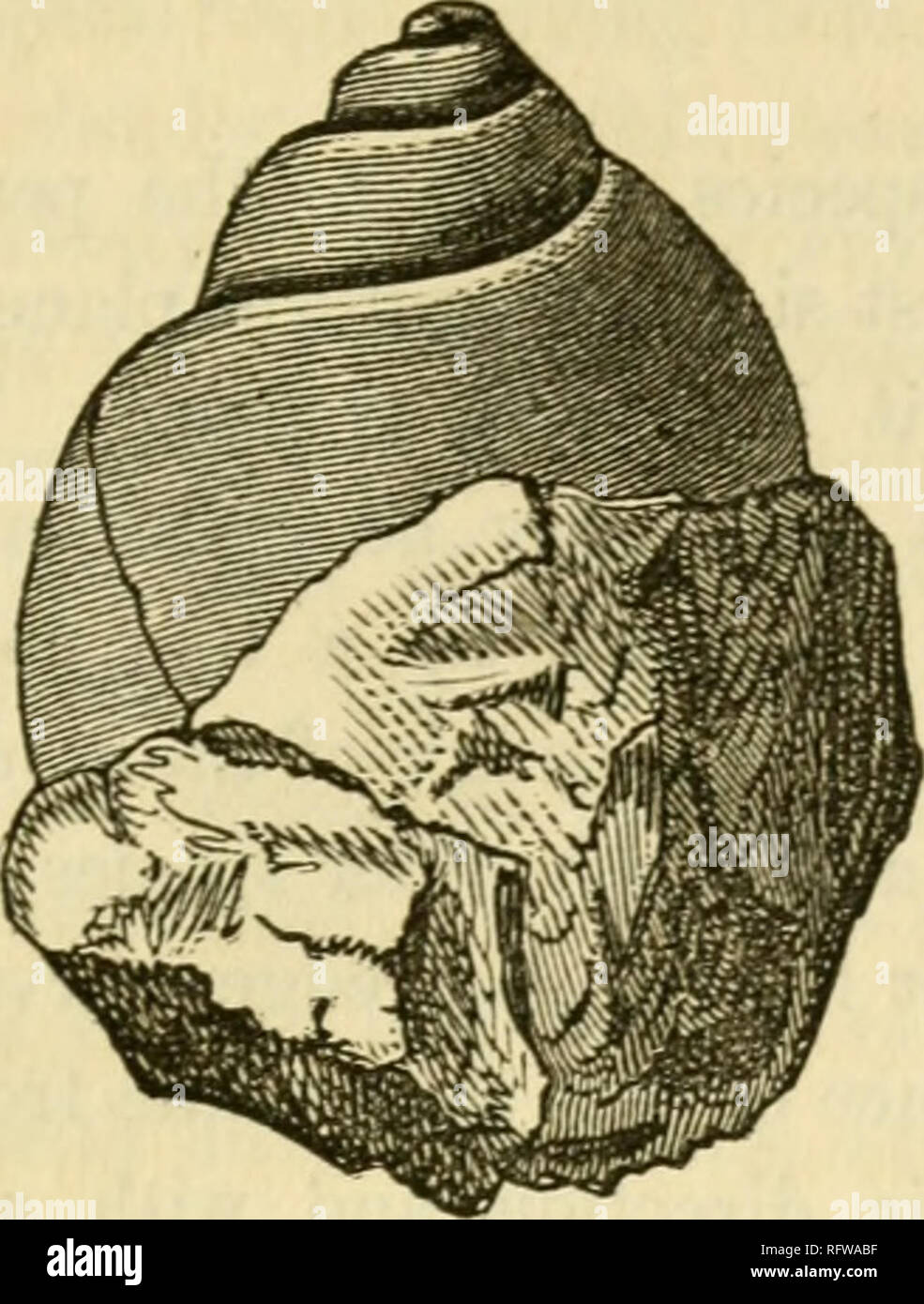 Sandrock formation hi-res stock photography and images - Alamy