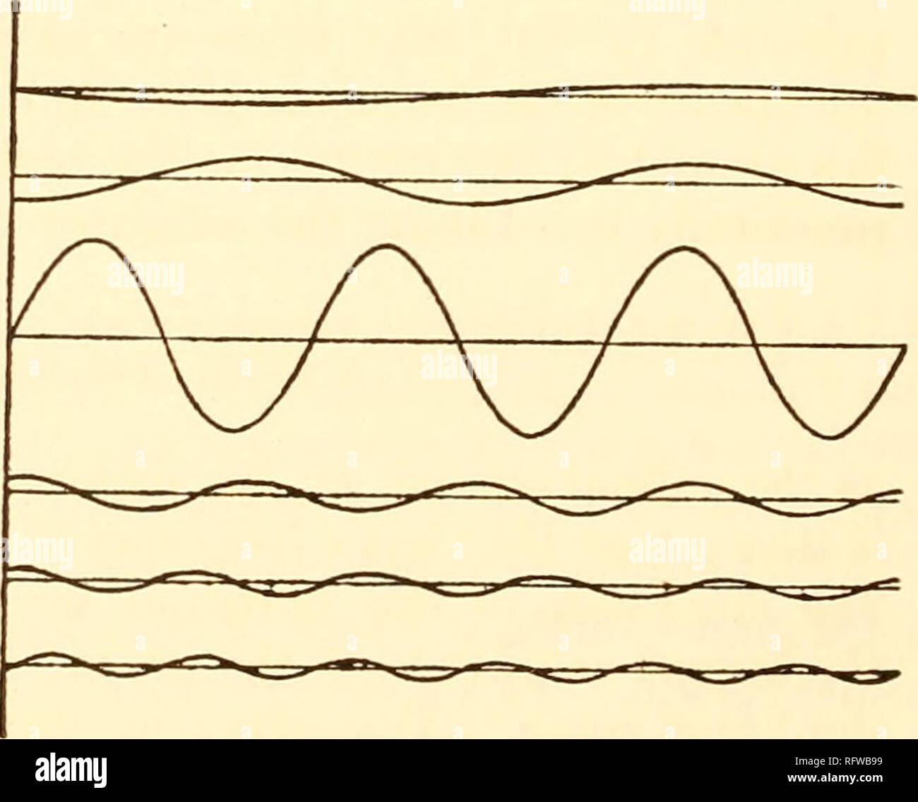 . Carnegie Institution of Washington publication. 150 THE STUDY OF ...