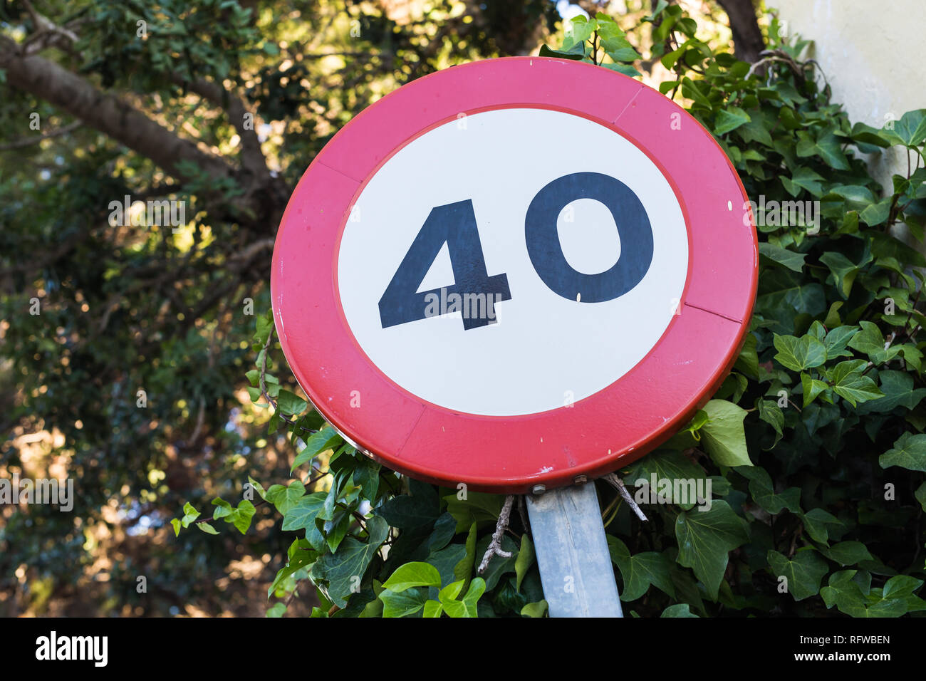 Speed limit traffic sign against green leaves Stock Photo - Alamy