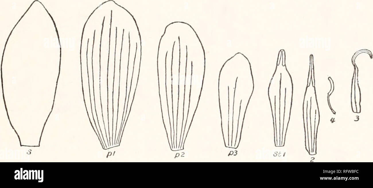 Longitudinal stripes horizontal stripes hi-res stock photography and ...