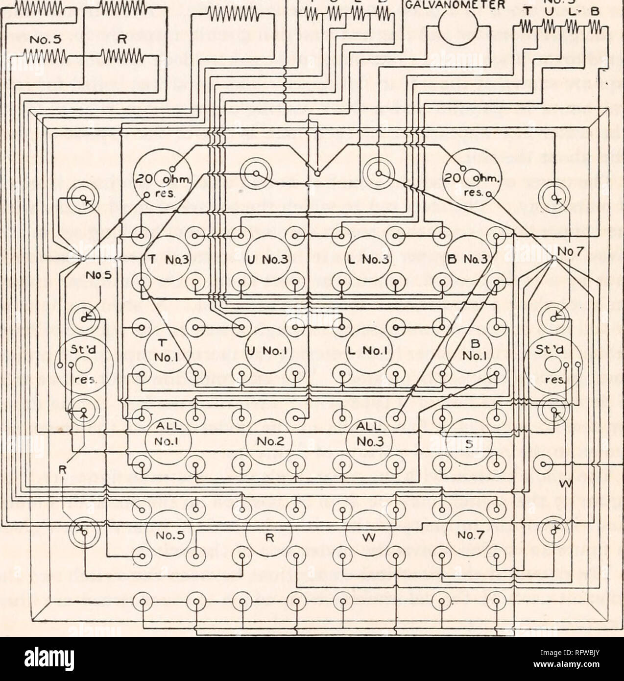 . Carnegie Institution of Washington publication. 142 A RESPIRATION ...