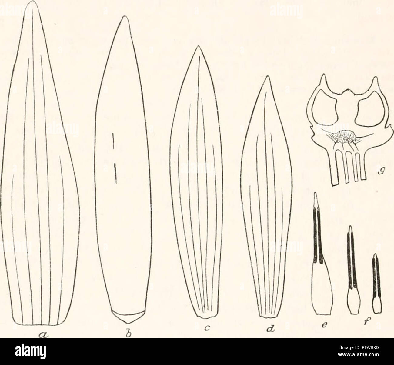Deep narrow lobes hi-res stock photography and images - Alamy