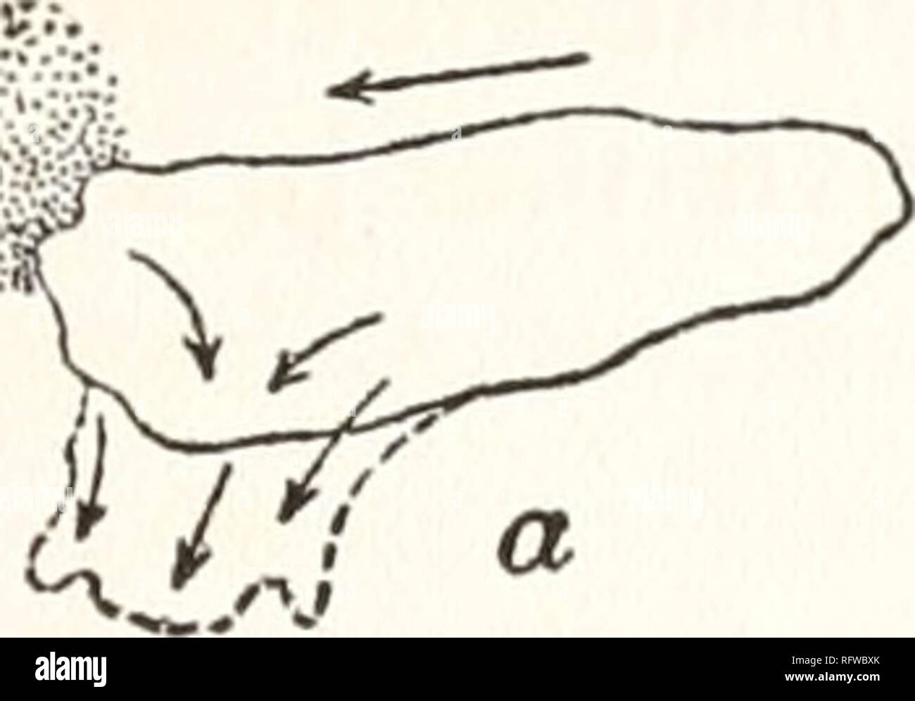 . Carnegie Institution of Washington publication. THE MOVEMENTS AND ...