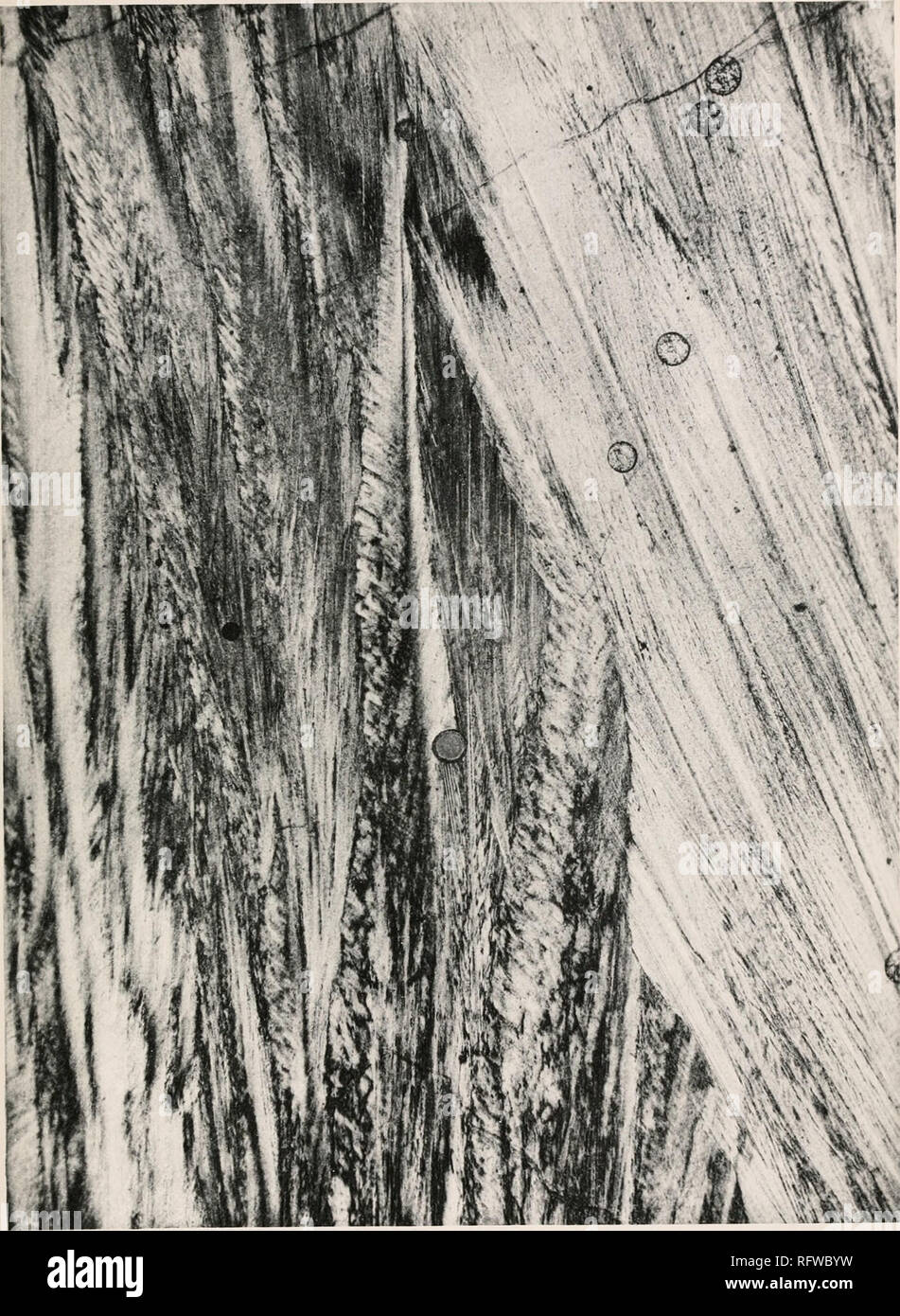 Spherulite hi-res stock photography and images - Alamy