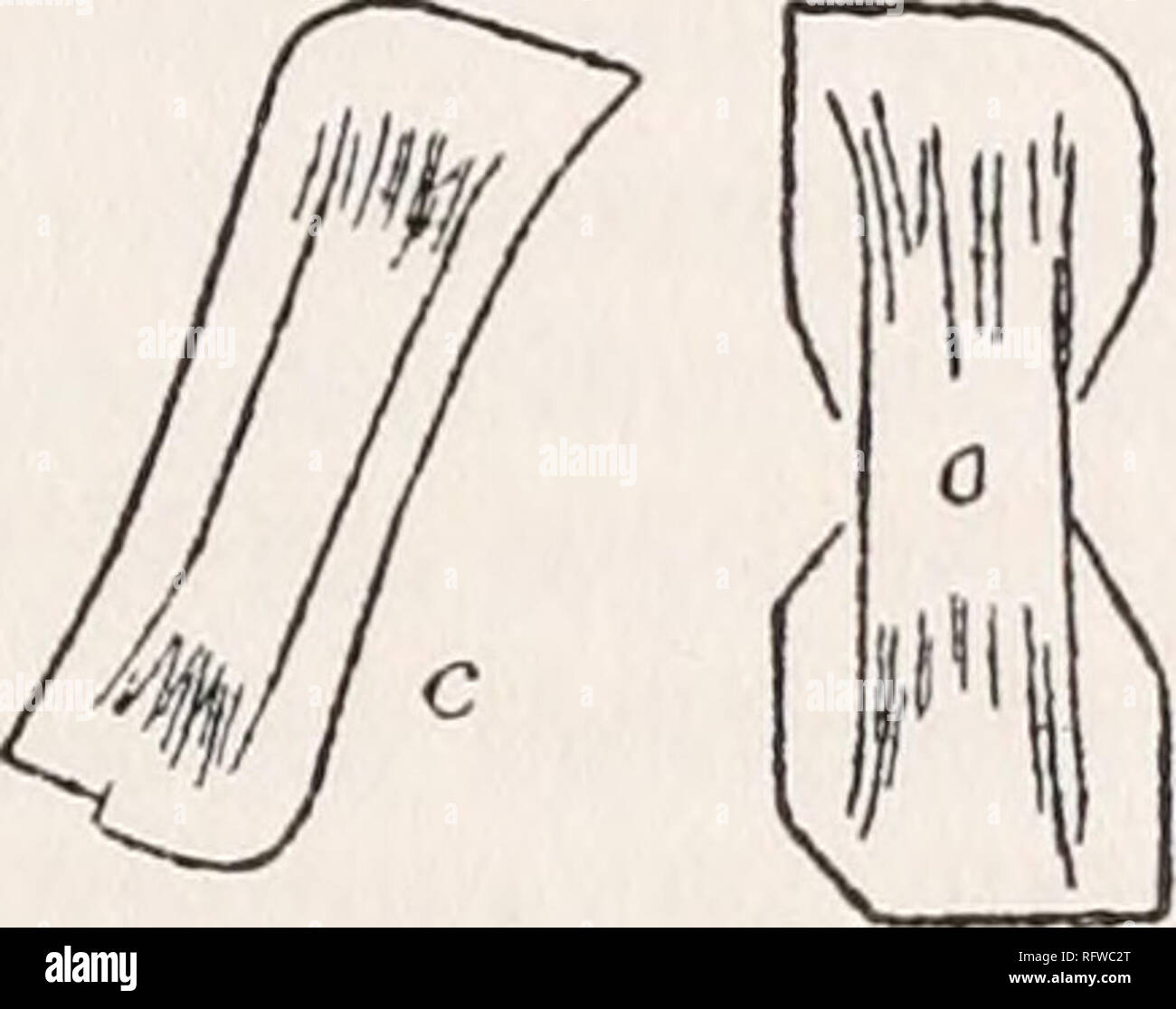 Equidimensional hi-res stock photography and images - Alamy