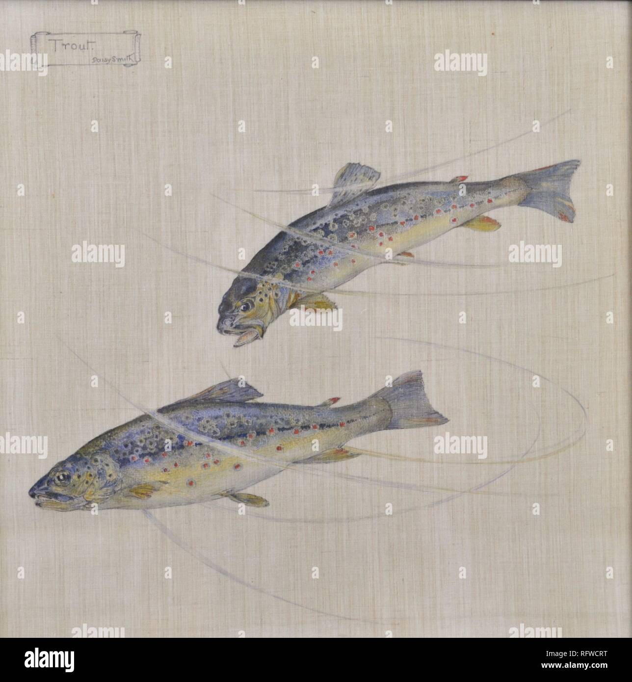 Daisy smith hi-res stock photography and images - Alamy