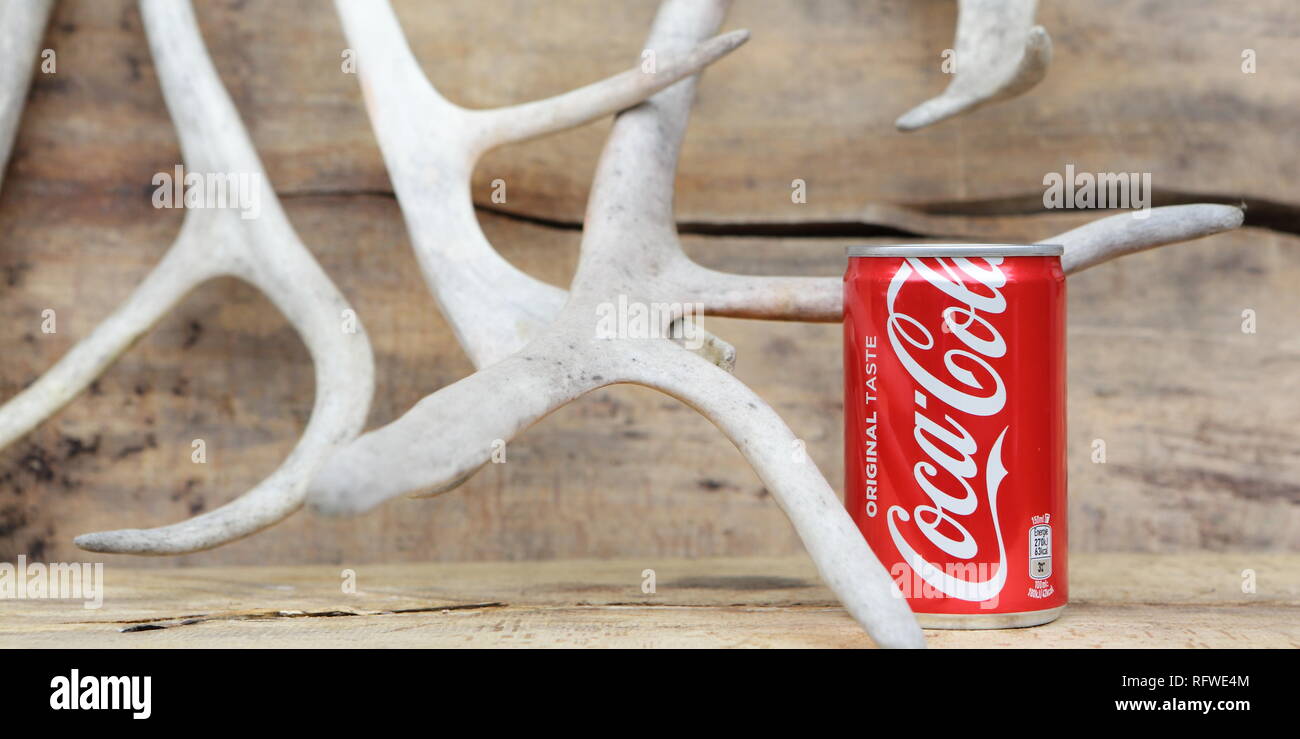 Nes, Dutch - 5 JULY, 2015. Coca Cola can on weathered wood. Coca Cola ...