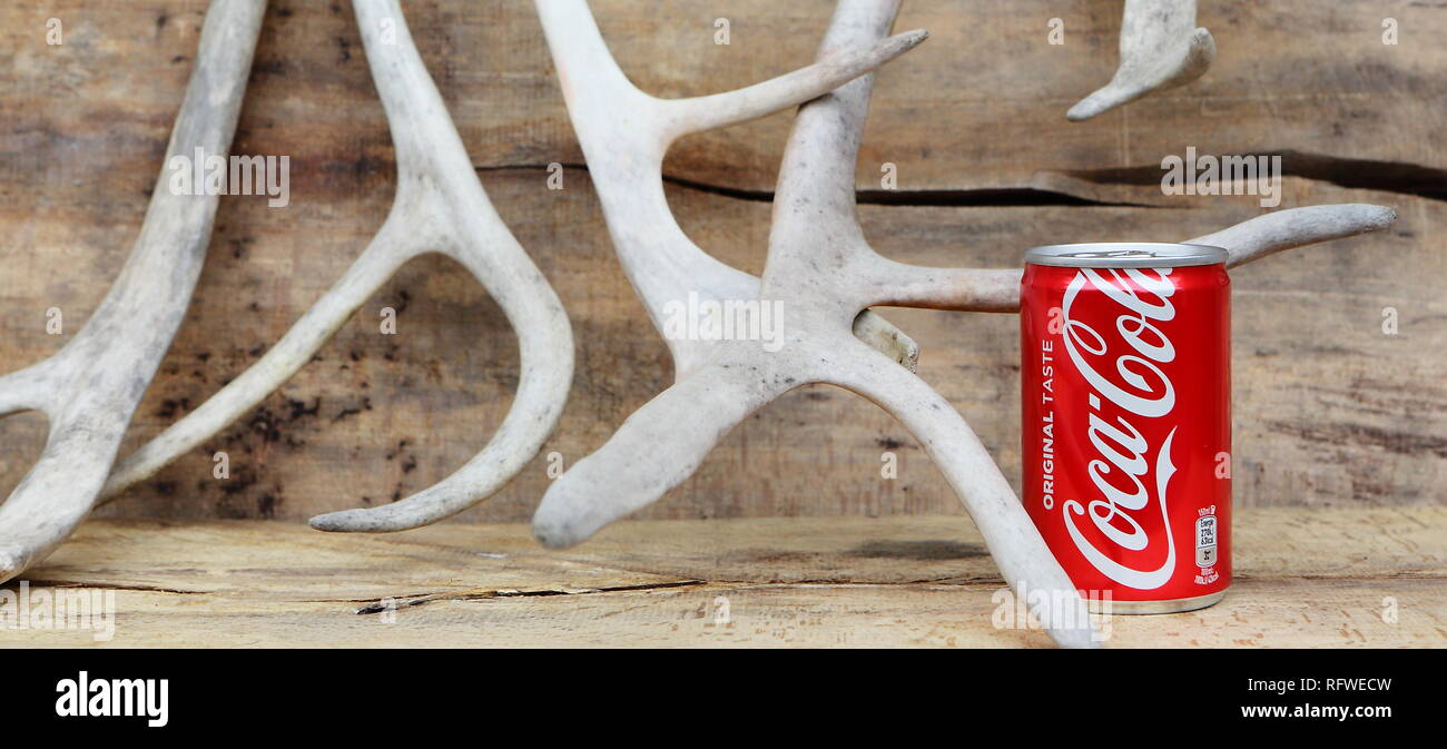 Nes, Dutch - 5 JULY, 2015. Coca Cola can on weathered wood. Coca Cola ...