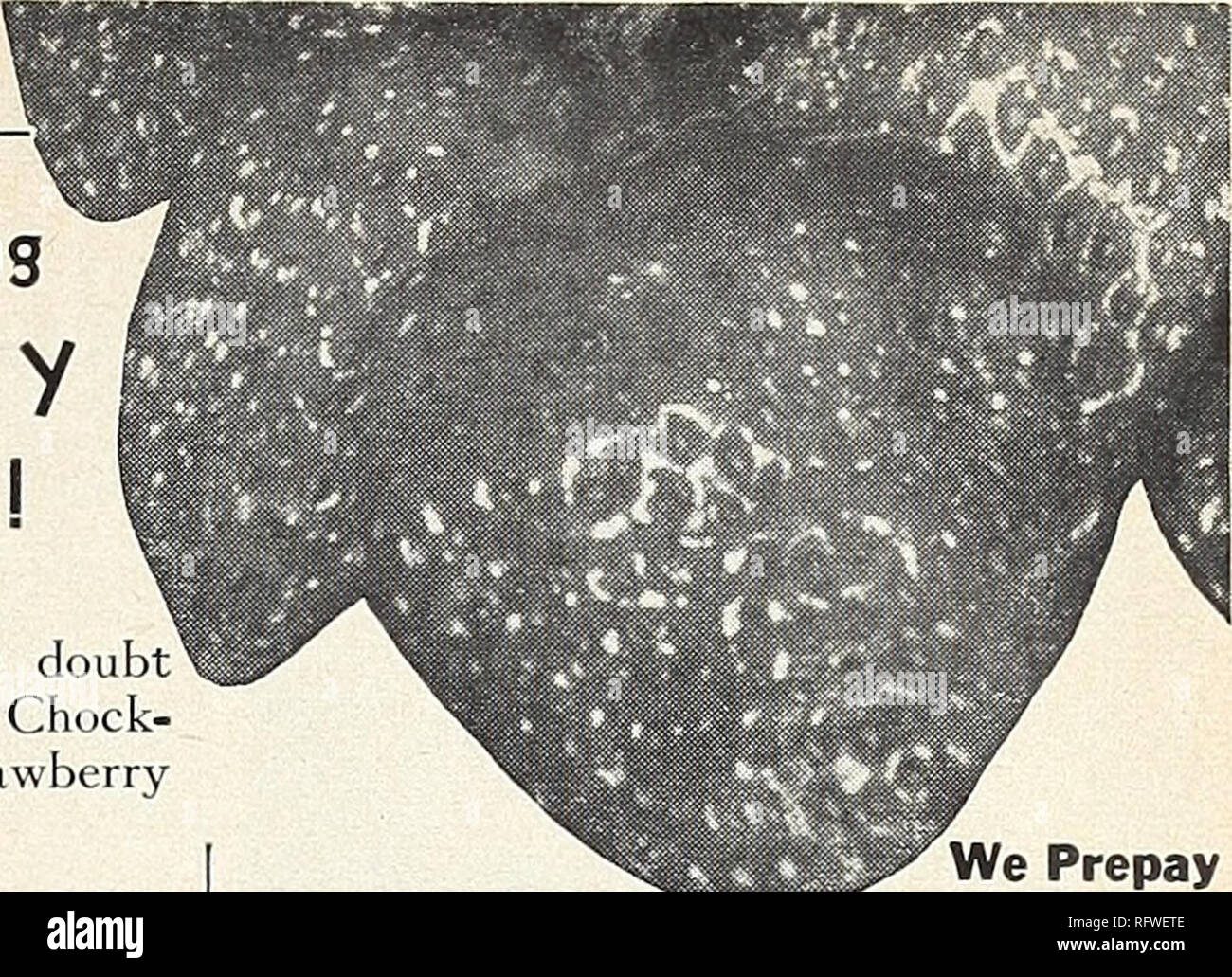 Chock test hi-res stock photography and images - Alamy