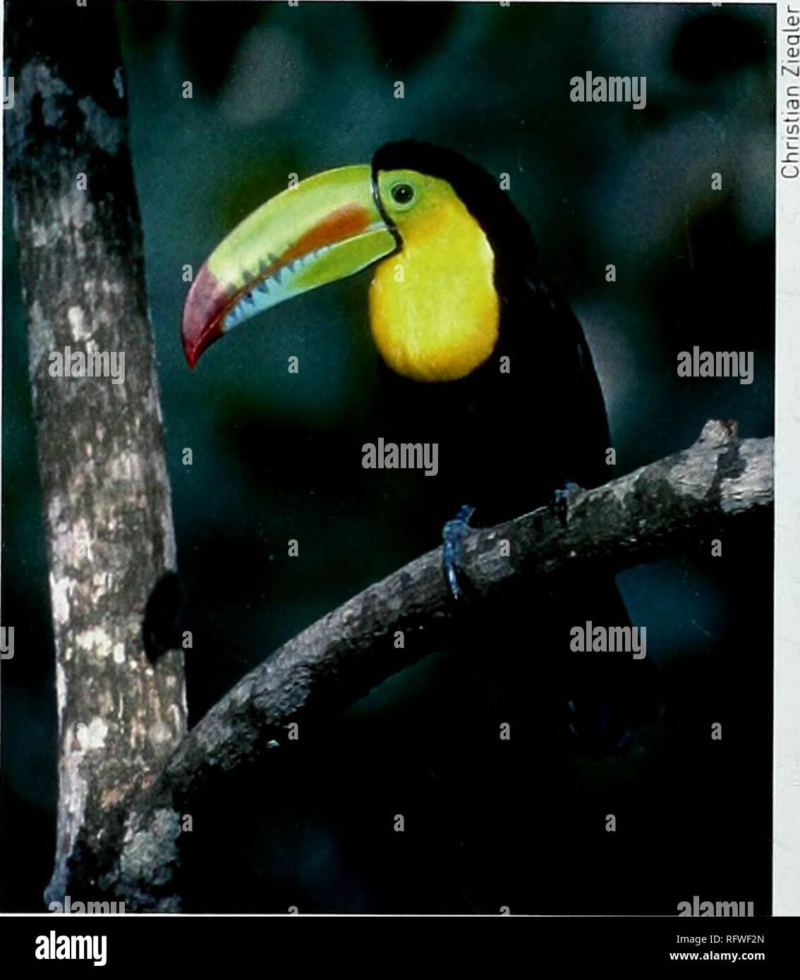 . Carbon and biodiversity. A demonstration atlas. Carbon and ...