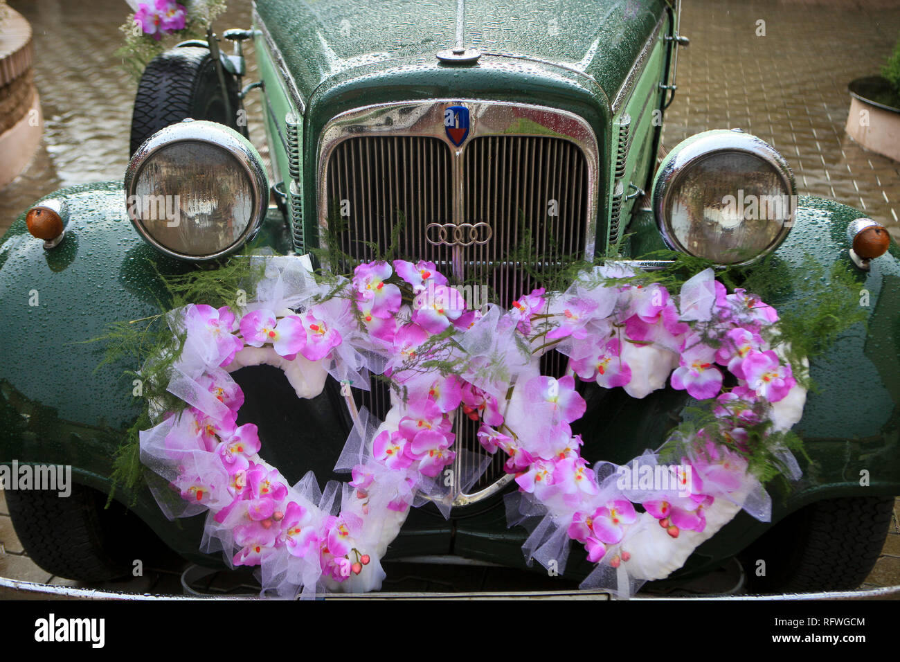 Green bonnet hi-res stock photography and images - Alamy