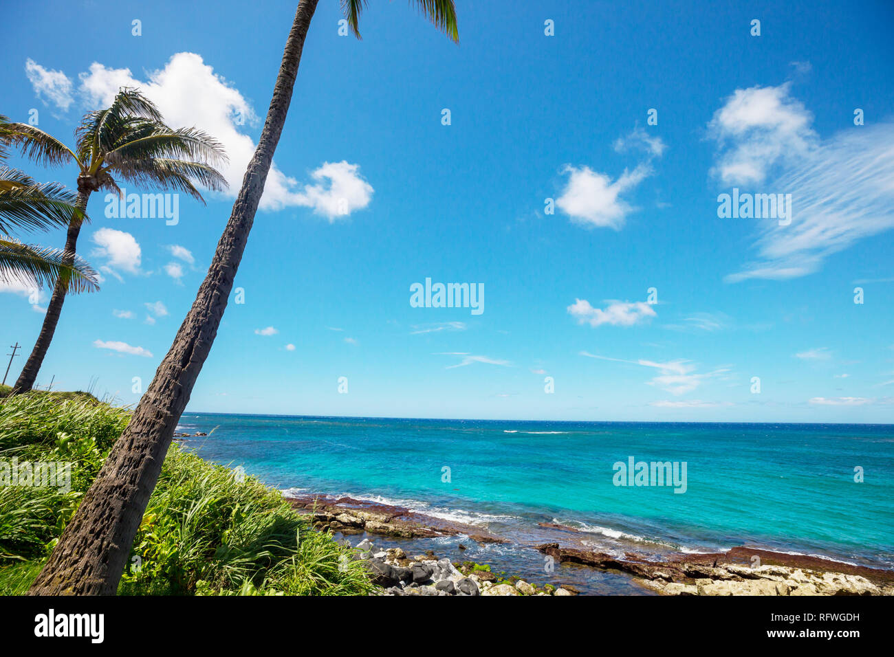 Amazing hawaiian beach Stock Photo - Alamy