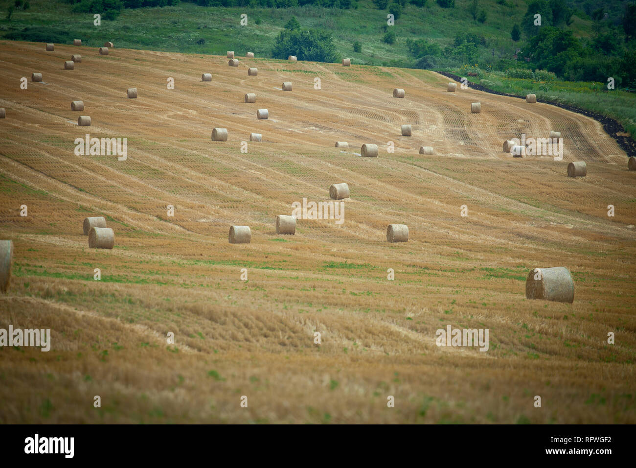 Green field haystacks hi-res stock photography and images - Alamy
