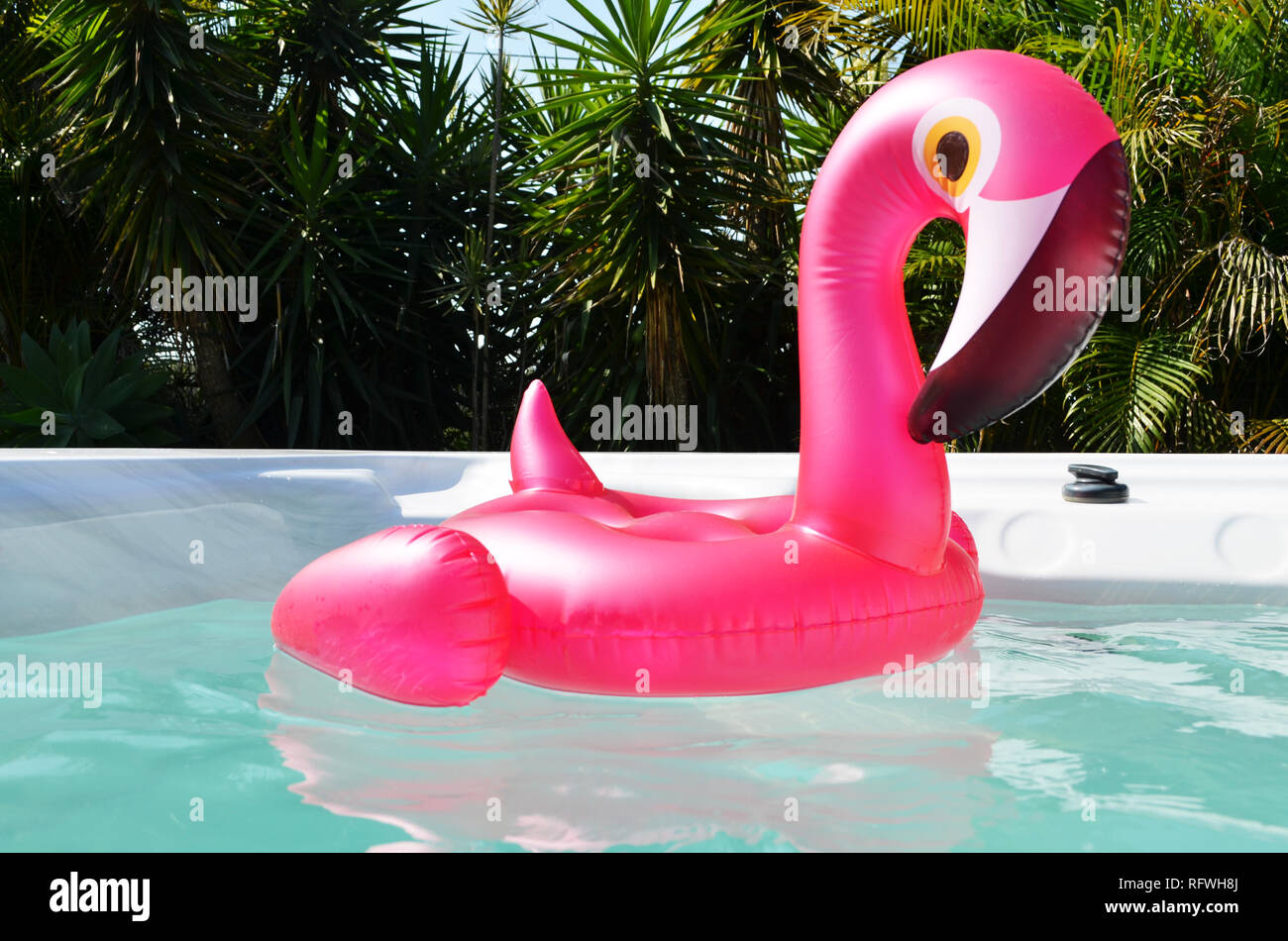 Inflatable in swim spa Stock Photo - Alamy