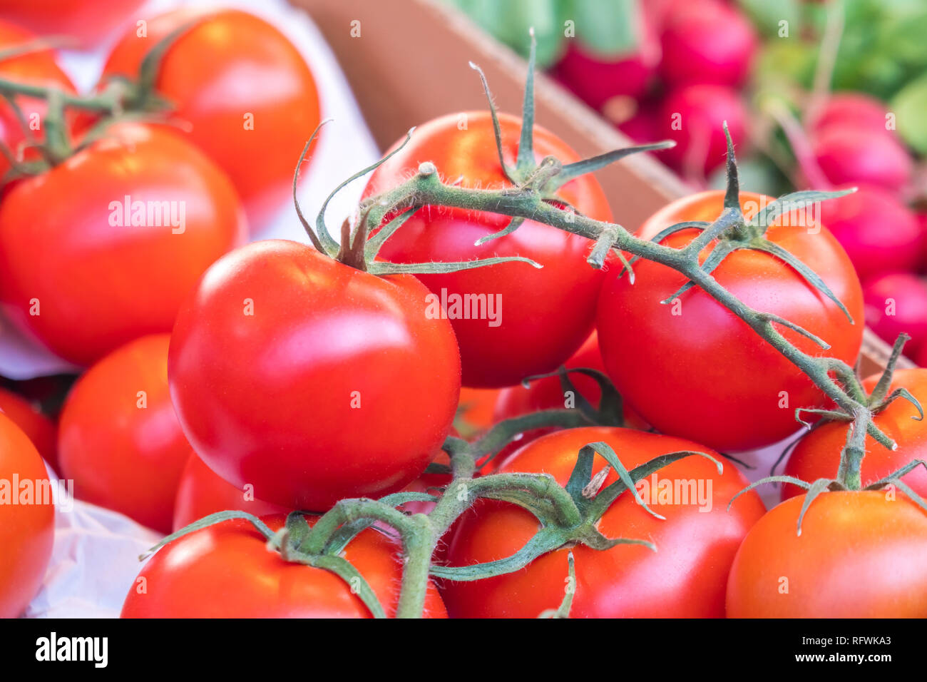 Fresh tomatoes in a market stall, healthy food Stock Photo - Alamy