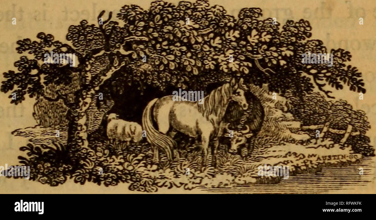 Meliorate hi-res stock photography and images - Alamy