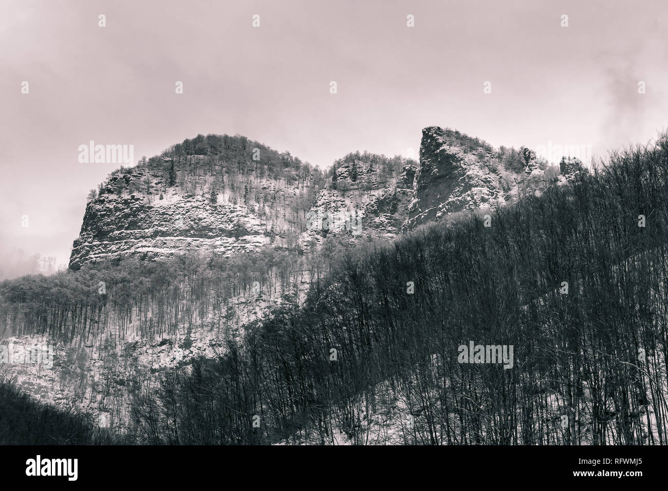 Dramatic, misty, black and white view on a background pointy summits ...