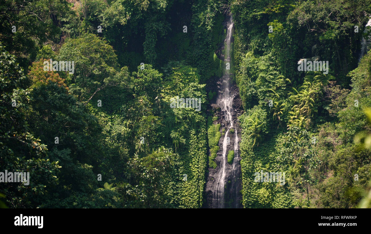 waterfall in green rainforest. triple tropical waterfall Sekumpul in ...