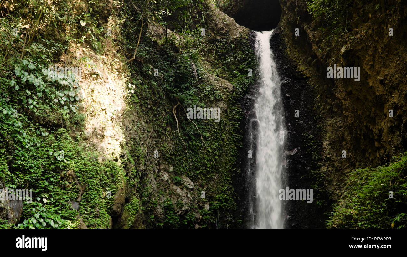 waterfall in green rainforest. tropical waterfall in mountain jungle ...