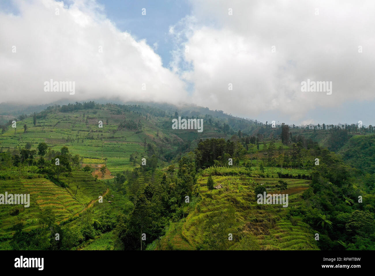 agricultural land in mountains fog and clouds, fields with crops, trees ...