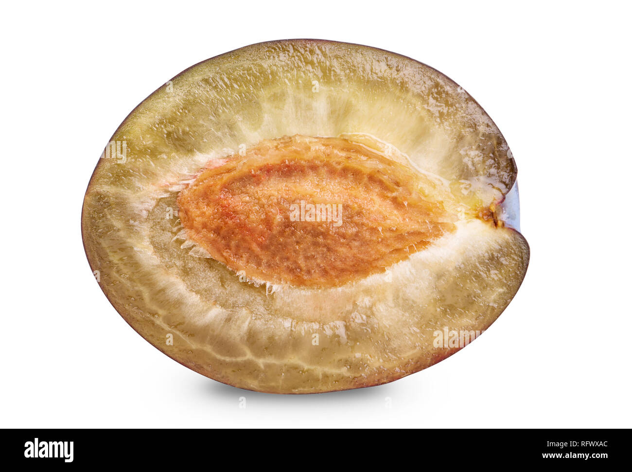 Plum bone Cut Out Stock Images & Pictures - Alamy