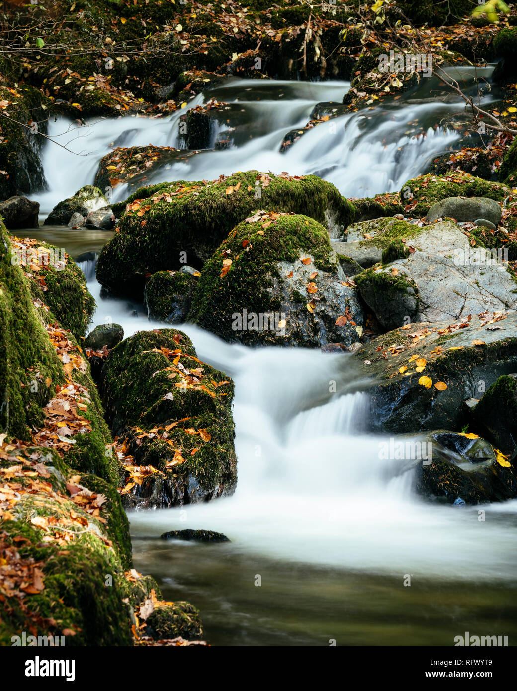 Stock Ghyll Force Waterfalls, Ambleside, Lake District National Park ...
