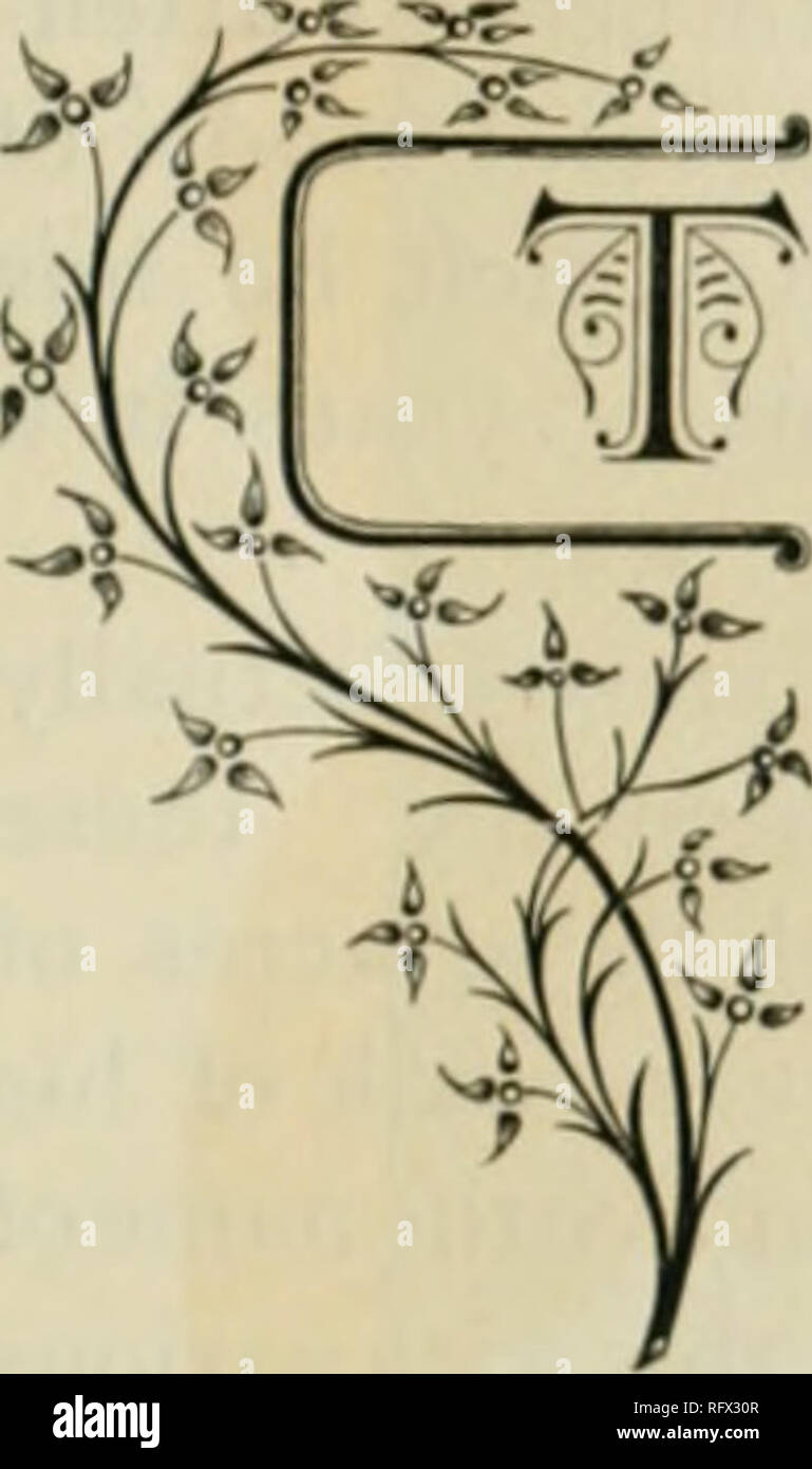 Simon Plum High Resolution Stock Photography and Images - Alamy