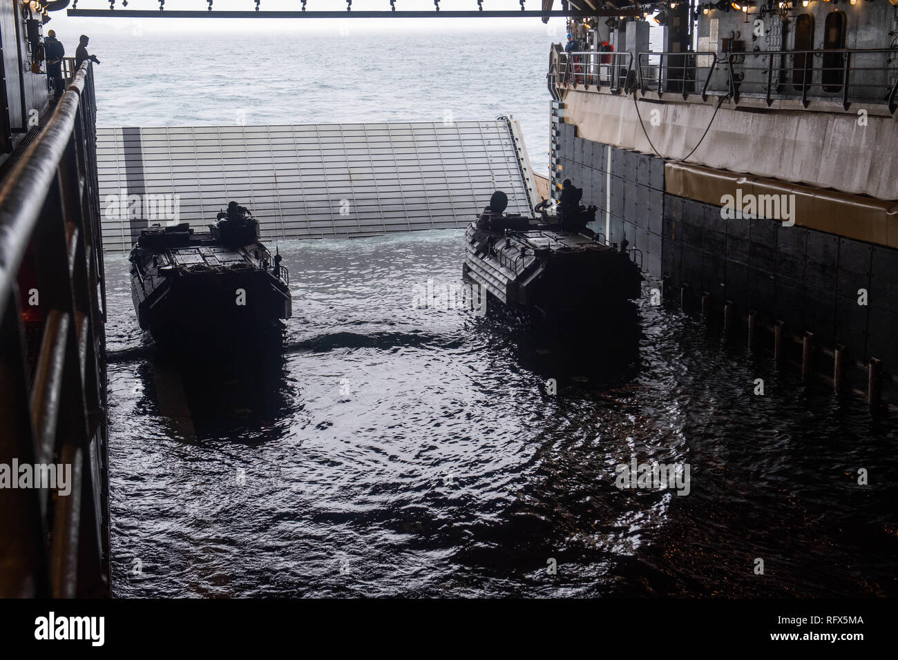 190116-N-HD110-0035 PACIFIC OCEAN (Jan. 16, 2019) Marines attached to ...