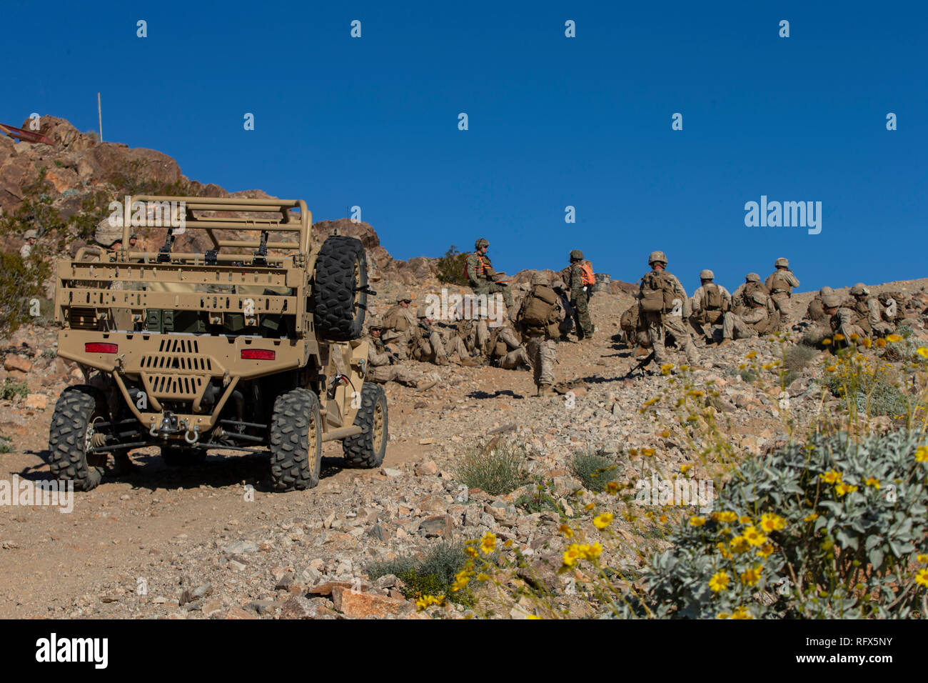 Magtf 25 hi-res stock photography and images - Alamy