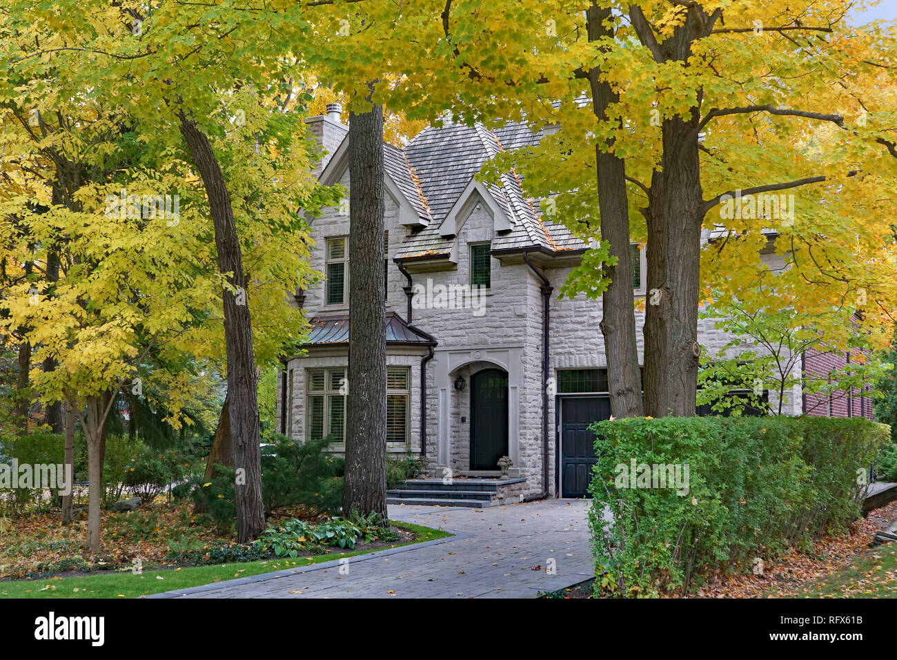 Suburban tree lined street hi-res stock photography and images - Alamy